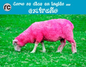 Como se dice extraño en inglés - raiz cuadrada